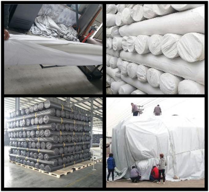 Highly Engineered HDPE Geonet and Geocomposite Drainage Liners in ...