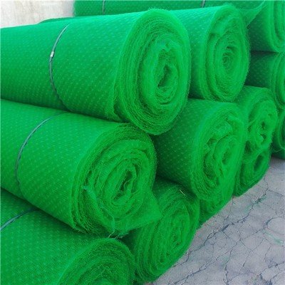 Slope Protection HDPE Plastic Geonet 3D Erosion Control Mat Geomat for ...
