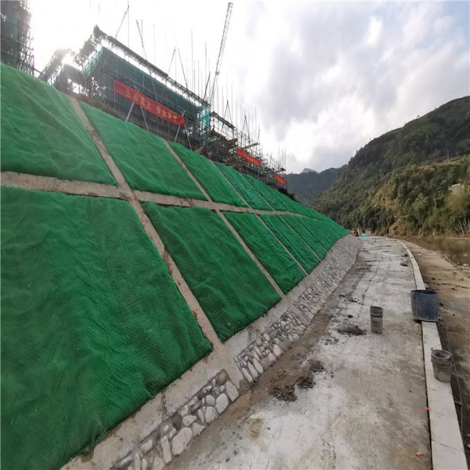 Slope Protection HDPE Plastic Geonet 3D Erosion Control Mat Geomat for ...