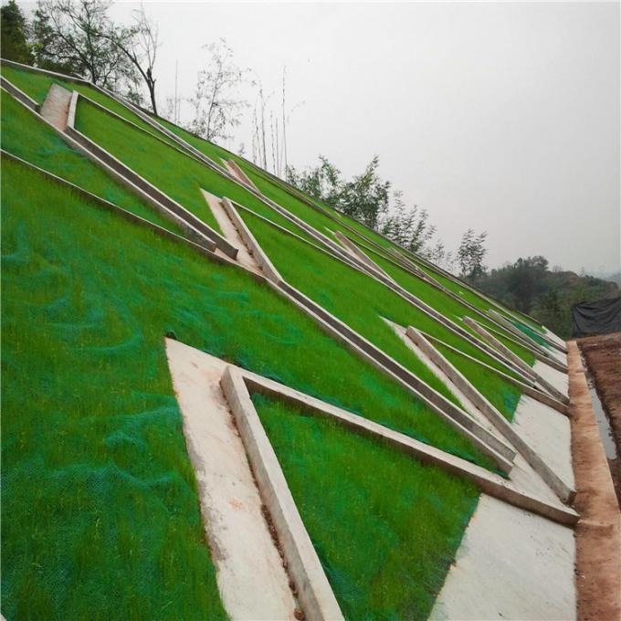 Slope Protection HDPE Plastic Geonet 3D Erosion Control Mat Geomat for ...