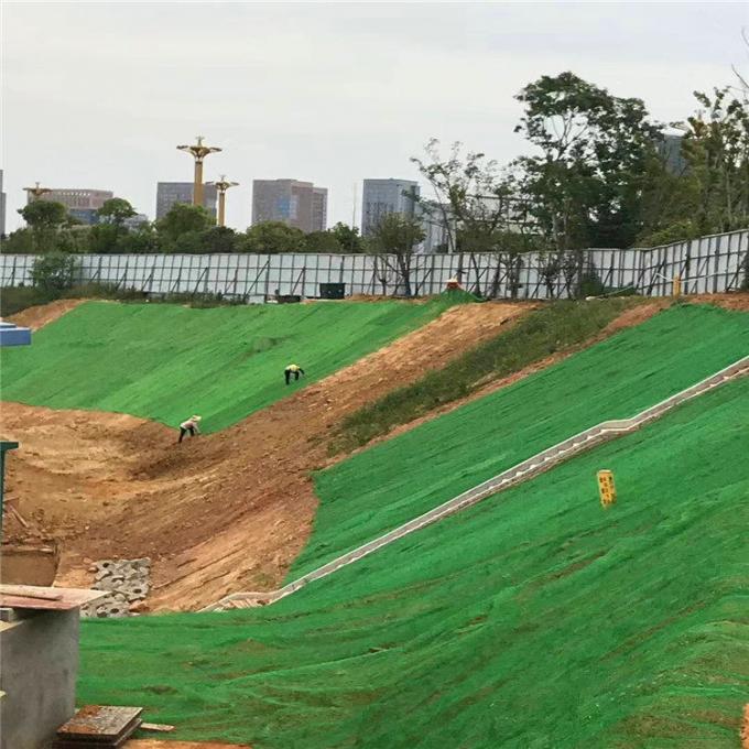 Slope Protection HDPE Plastic Geonet 3D Erosion Control Mat Geomat for ...