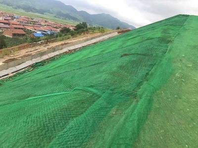 Slope Protection HDPE Plastic Geonet 3D Erosion Control Mat Geomat for ...