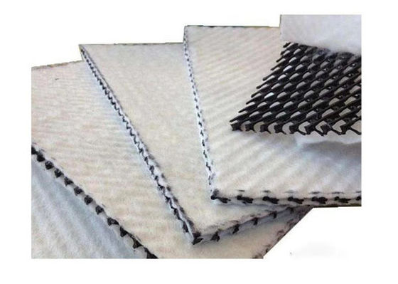 HDPE Composite Drainage Network Dimple Drain Sheet with Geotextile ...
