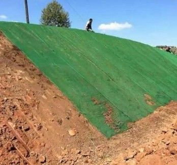 Slope Protection HDPE Plastic Geonet 3D Erosion Control Mat Geomat for ...