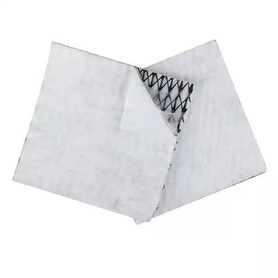 Industrial Design Style Composite Drainage Geonet for Tunnel ...