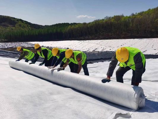 Water Channel Geomembranes for Water Management from Landfill Composite ...